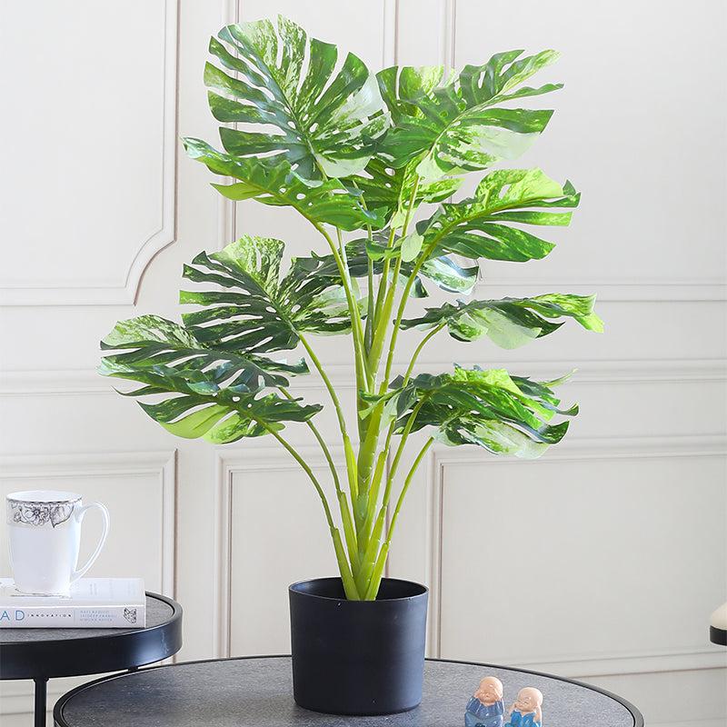 Buy Leaf It Be Artificial Monstera With Pot - 2.5 Feet Online in India ...