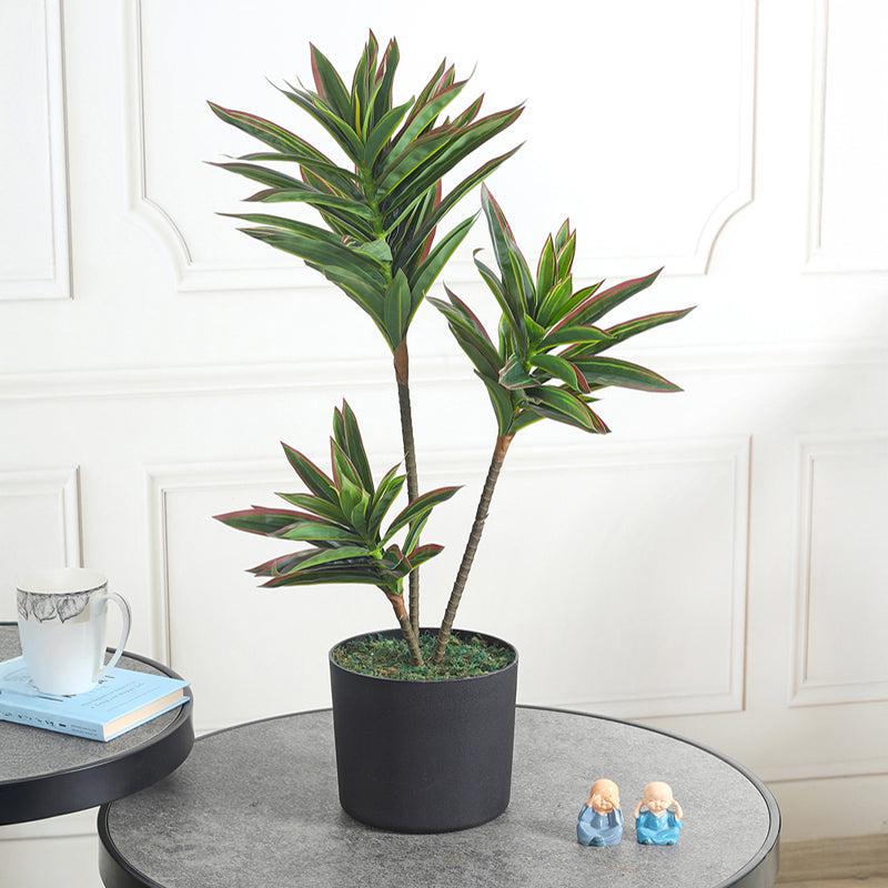 Buy Infinite Leaves Artificial Plant With Pot Online in India | Vaaree