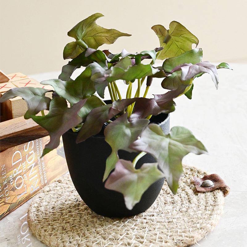 Buy Ivella Artificial Mini Ivy Plant With Basic Pot - Purple Online in ...