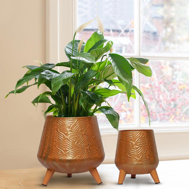 Buy Nori Metal Planter (Melon Orange) - Set Of Two Online in India | Vaaree