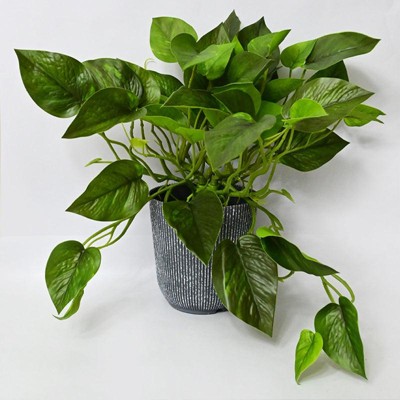 Buy Pothera Artificial Pothos Plant With Pot Online in India | Vaaree