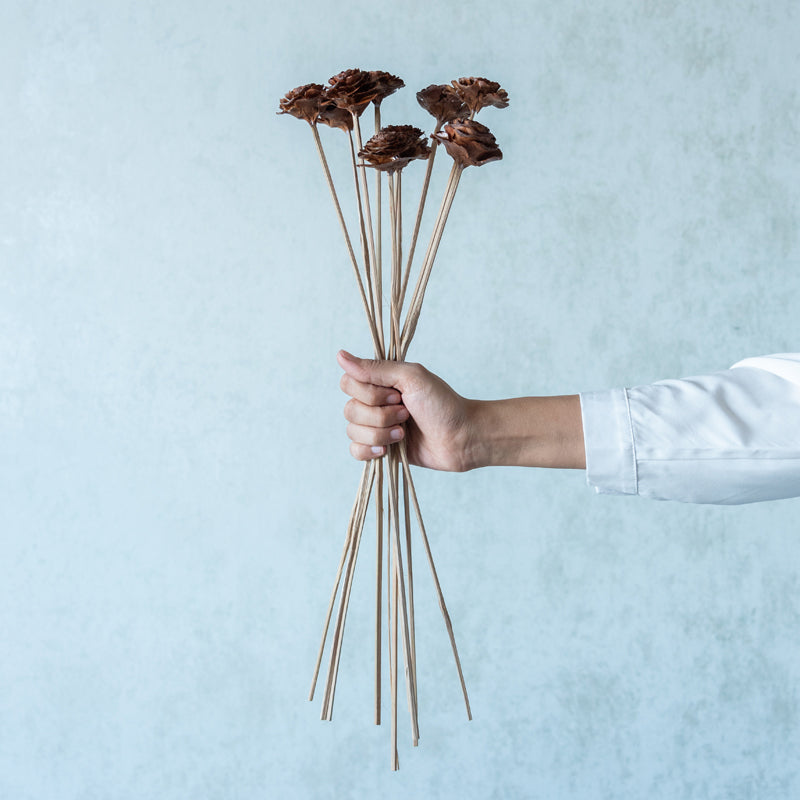 Buy Ole Cedar Wood Rose Stick (Brown)- Set Of Ten Online in India | Vaaree