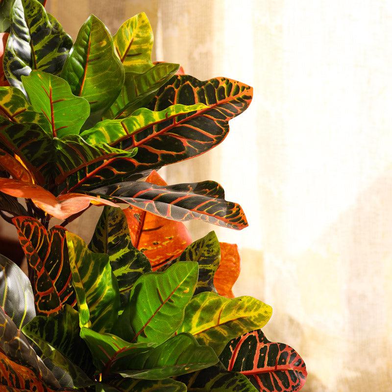 Buy Faux Realistic Croton Plant With Pot - 2.8 Feet Online in India ...