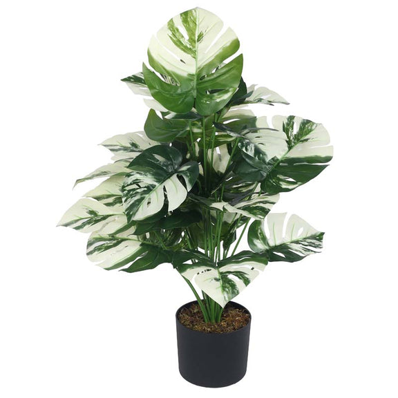 Buy Faux Lush White Monstera Plant With Pot - 2.6 Feet Online in India ...