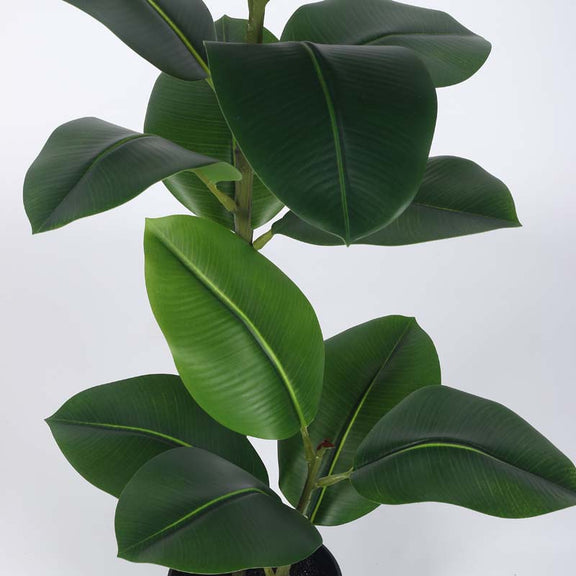 Buy Faux Lush Rubber Plant With Pot - 4 Feet Online in India | Vaaree