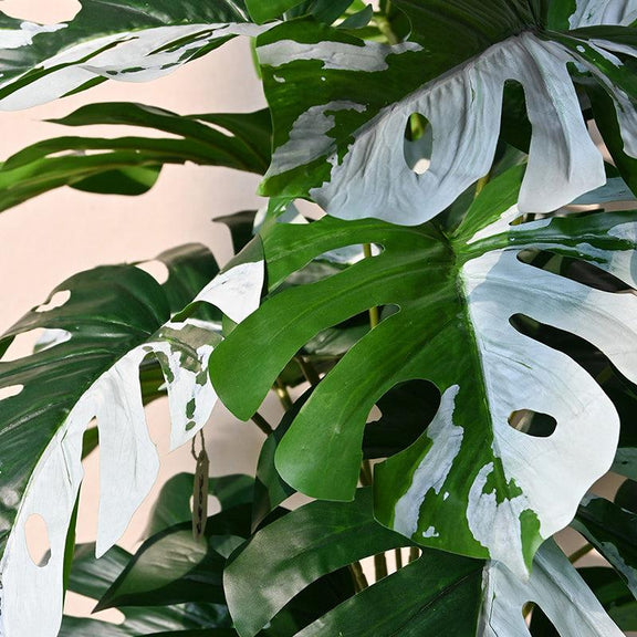 Buy Faux Everlasting Monstera Plant With Pot - 2.6 Feet Online in India ...
