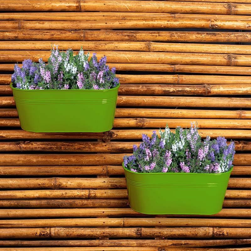 Buy Envious Green Planter Online in India | Vaaree