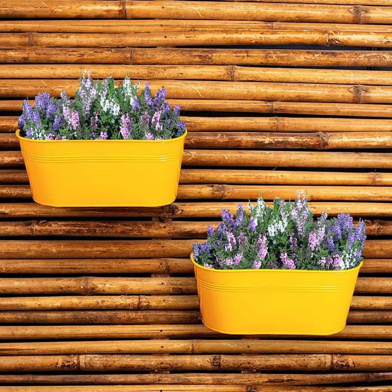 Buy Envious Yellow Planter Online in India | Vaaree